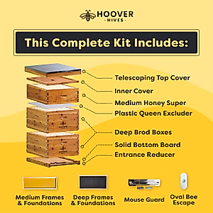 Hoover Hives Fully Assembled Original Bees Wax Coated 10 Frame Langstroth Beehive (2 Deep Boxes, 1 Medium Box)