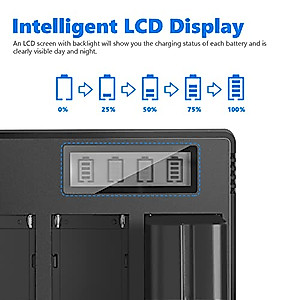 Neewer 4-Channel NP-F Battery Charger with LCD Screen & Power Adapter, Compatible with Sony NP-F550 F570 F750 F770 F930 F950 F960 F970 FM50 FM500H QM71 QM91 QM71D QM91D Camcorder Li-ion Batteries