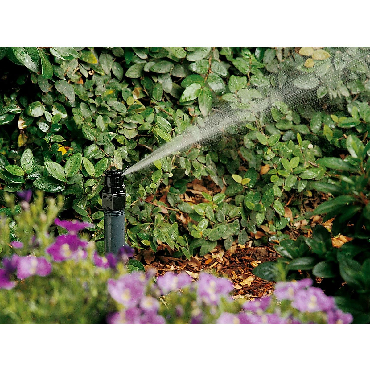 Rain Bird A17AP Shrub Nozzle, 0° -360, 8' -15' Spray Distance, Adjustable Pattern, Black