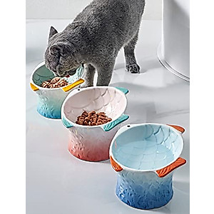 Raised Tilted Ceramic Cat Bowl - Cute Elevated Slanted Shallow Angled Cat Dish - Personalized Pet Feeder for Food Feeding - Ergonomic Anti Vomiting Whisker Fatigue - Size for Cat and Small Dog