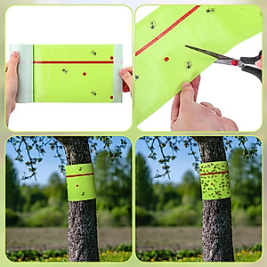 Qualirey 6 Rolls Spotted Lantern Fly Traps 30 Feet Each Roll Fly Tree Trap Sticky Fly Strips Outdoor Fruit Fly Glue Trap Disposable Fly Tree Tape Indoor Fly Paper Sheets for Protecting Trees (Green)