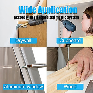 AETTL 815pcs M6 M5 M4 M3 Wood Screws Assortment Kit, Metric Stainless Steel Assorted Self Tapping Screws Set Truss Flat Pan Head Phillips Drive Drilling for Deck Drywall Concrete Sheet Metal