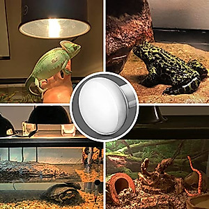 Briignite Heat Lamp Bulbs, UVA Reptile Light, Reptile Heat Lamp Bulbs E26 Base, 50W Basking Spot Bulb for Reptile, Full Spectrum Heat Light Bulb for Turtle Lizard Tank, Bearded Dragon, 1 Pack