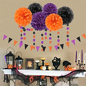 Black Purple Orange Halloween Party-Decorations - 23pcs Tissue Pom Poms Streamers,Tassel Garland Banner,Graduation 2023 Birthday Wedding Baby Bridal Shower Decor Bunting Lasting Surprise