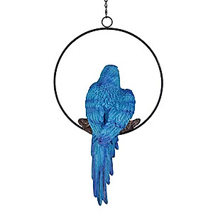 Design Toscano Polly in Paradise Parrot Hanging Bird Ring Perch Statue, Medium, Full Color Finish