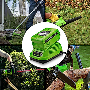 Amsbat 2-Pack 6.0Ah Lithium ion 29462 29472 Battery and 29482 Charger Replacement for Greenworks 40V Battery and Charger Compatible with Greenworks 40 Volt G-MAX Lawn Garden Power Tools(Green)