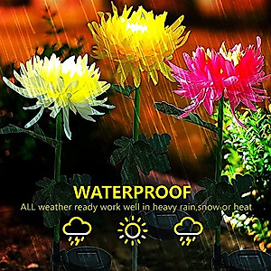 Emptystar Solar Light - Chrysanthemum Solar Light Outdoor Waterproof Artificial Flowers Solar Lights Garden Decoration Lamp Solar Powered with Metal Pole for Garden Yard, White