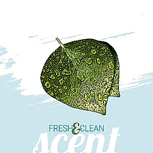 Green Groom Odor Eliminator Dog Shampoo, 1 Gallon - Crafted with Odortrol, All Natural Ingredients, Antioxidant Rich, Eliminates Smelly Pet Odors, Powerful Deodorizing Formula, Professional Grade