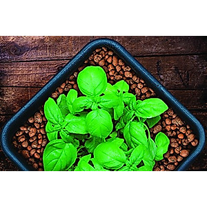 GROW!T GMC10L - 4mm-16mm Clay Pebbles, Brown, (10 Liter Bag) - Made from 100% Natural Clay, Can be used for Drainage, Decoration, Aquaponics, Hydroponics and Other Gardening Essentials