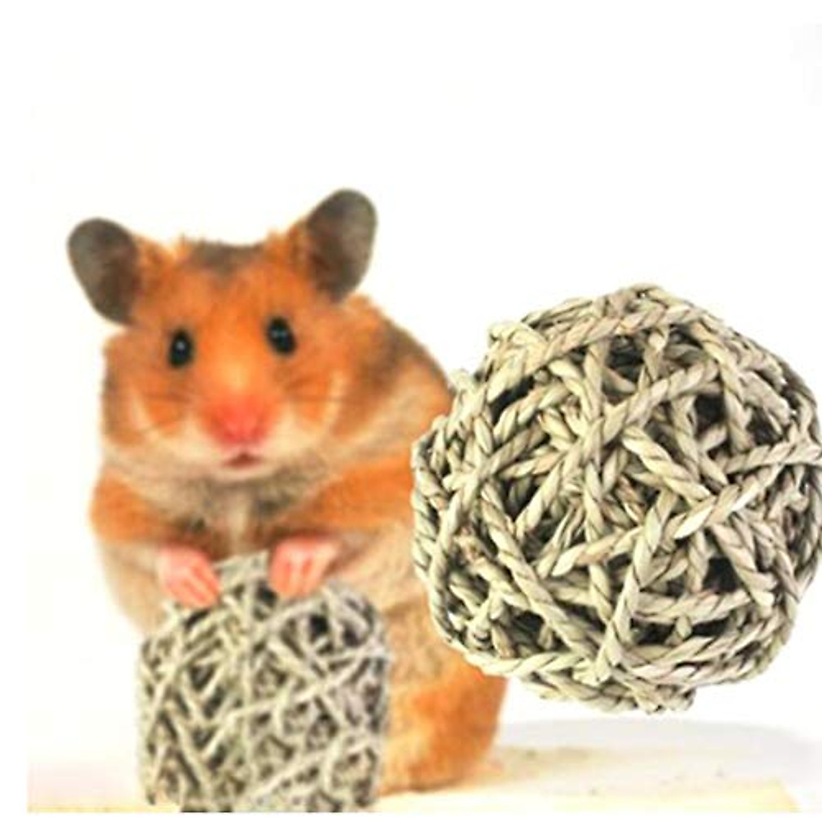 Dolland Bird Ball Toy Round Shape Parakeet Chewing Toy Pet Hamster Small Pet Playing Cage Part Toy