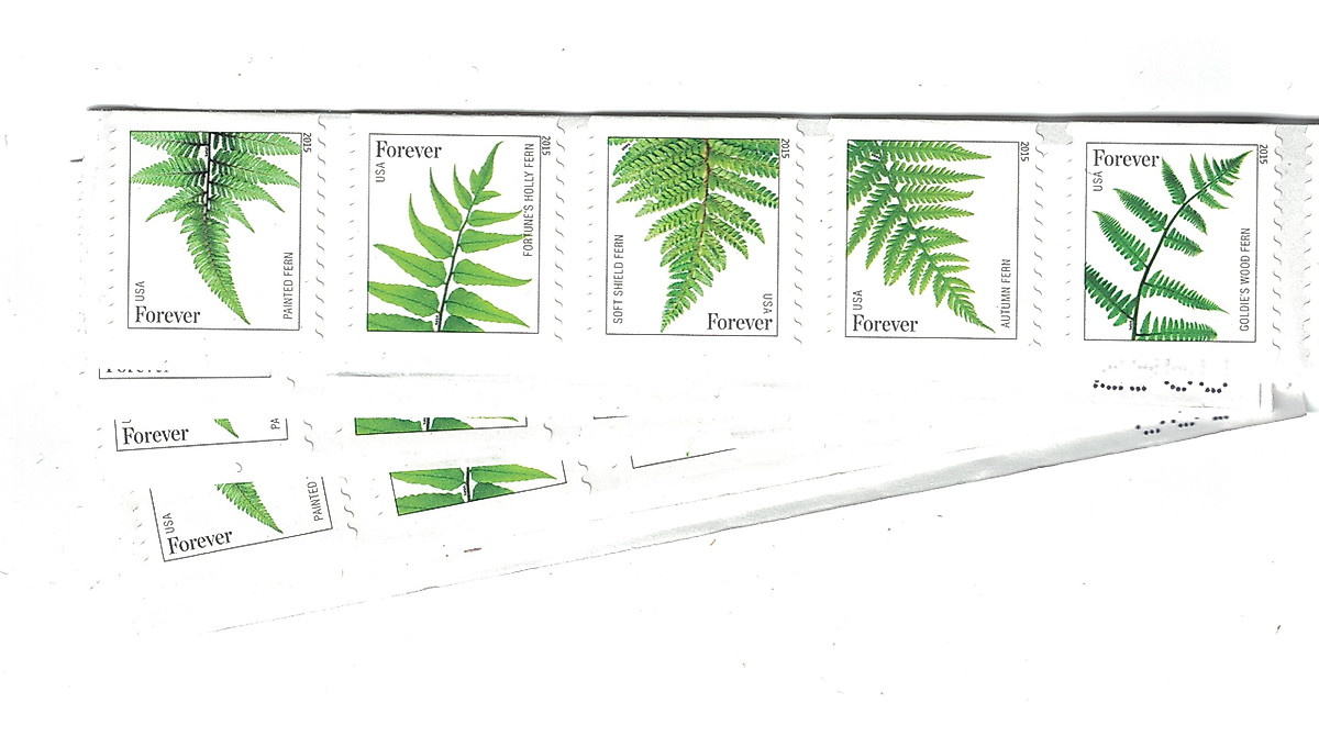 USPS Ferns Forever Stamps | 50 Self-Adhesive Postage