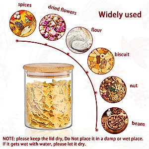 SLifeJars - Glass Jars with Bamboo Lids 16 oz, 12pcs Glass Food Storage Jars with Rewritable Labels, Bamboo Lid Jars for Kitchen Storage, Glass Food Storage Containers with Bamboo Lids for Herbs