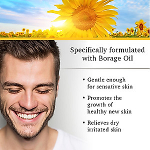 ShiKai Daily Moisturizing Shower Gel (Cucumber Melon, 12oz, Pack of 3) | Gentle Formula | Aloe Vera & Oatmeal for Soft, Healthy Skin | Dry Skin Relief