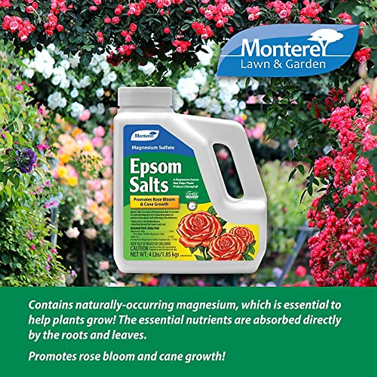Monterey LG7220 Epsom Salt for Plants Magnesium Sulfate for Gardening, 4 lb