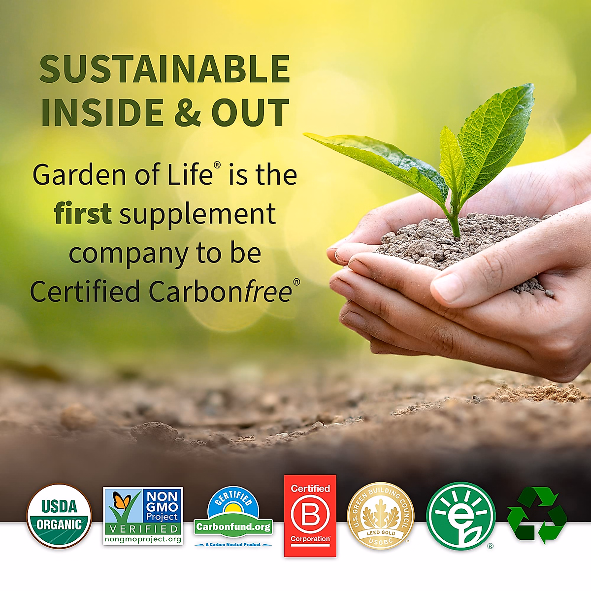 Garden of Life Vitamin Code Whole Food Multivitamin for Men - 240 Capsules, Vitamins for Men, Fruit Veggie Blend and Probiotics for Energy, Heart, Prostate Health, Vegetarian Men's Multivitamins