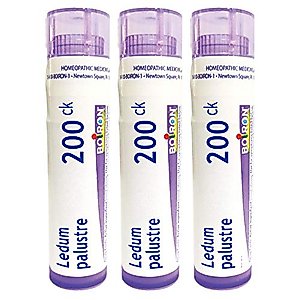 Boiron Ledum Palustre 200ck Homeopathic Medicine for Insect Bites or Bruising - 80 Count (Pack of 3)
