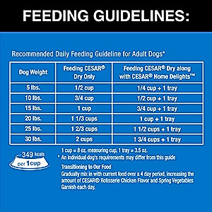 CESAR Small Breed Dry Dog Food Rotisserie Chicken Flavor with Spring Vegetables Garnish Dog Kibble, 12 lb. Bag