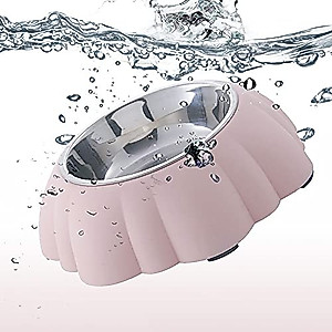 FUUIE Bowls for Food and Water Household Double-Layer Stainless Steel Pet Bowl, Suitable for Cats and Dogs, Strong and Simple to Clean (Color : Blue)