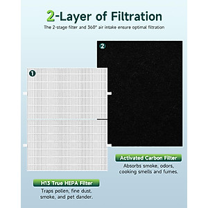 HPA200 Replacement Filter R Compatible with Honeywell Air Purifier 200 Series, 2 H13 True HEPA Filters with 4 Pre-Cut Carbon Filters, Part# HRF-ARVP200
