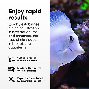 Brightwell Aquatics MicroBacter Start XLM - Concentrated Freshwater Nitrifying Bacteria - Quick Start Fish Tank Starter, Lift Microbe Levels & Water Filtering - Aquarium Water Treatments, 16.9 fl oz