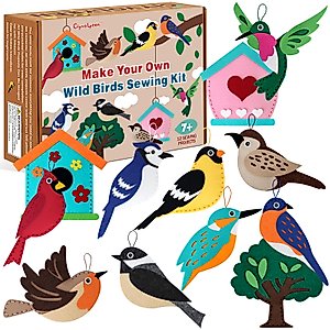 CiyvoLyeen Wild Birds Sewing Craft Kit Animal Sewing Kit for Boys and Girls Beginners Set of 12 Sewing Projects Gift for Kids