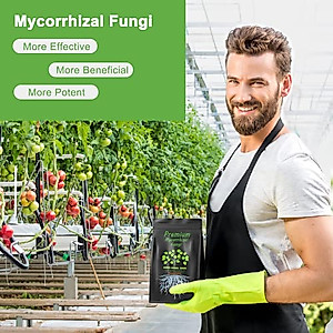 Hormone Root Fertilizer, Organic Fertilizer, Plant Fertilizer, All Purpose Indoor Plant Fertilizer(150g/5.3Oz)