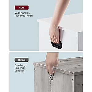 VASAGLE Storage Chest, Storage Trunk with 2 Safety Hinges, Storage Bench, Shoe Bench, Barn Style, 15.7 x 31.5 x 18.1 Inches, for Entryway, Bedroom, Living Room, White ULSB062T14