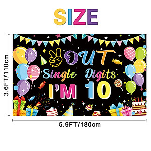 Holkcog 10th Birthday Decorations For Girls Boys,Happy 10th Birthday Backdrop Banner Double Digits Birthday Girl Decor 10 Year Old Birthday Party Background 10th Birthday Party Decorations Supply