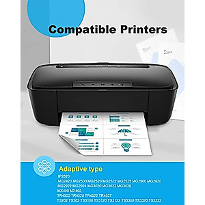 Aroil 245XL 246XL Combo Pack Replacement Printer Ink for Canon Ink Cartridges 245 and 246 for Canon Pixma TR4500 TS3322 TS3122 TR4522 TR4500 MG2522 MX490 MX492 TS3300 TS3320 TS3100 MG2500 (2 Pack)
