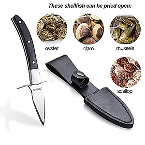 Jeslon Oyster Knife Set, Oyster Shucking Knives-Fish Scaler Remover-Slant Fish Bone Tweezers and Level 5 Protection Glove, Suitable for Oysters Lover, Much Safer Than Kitchen Knife