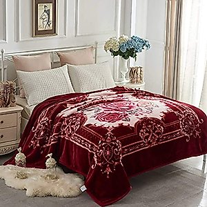 JYK Heavy Korean Mink Fleece Blanket, 5 LB - 2 Ply Reversible 520GSM Silky Soft Plush Warm Blanket for Autumn Winter (Queen, Flower/Burgundy)