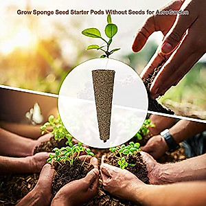 Aooccder Seed Starter Grow Sponges for Aerogarden, PH-Balanced Refill-Seed Pods Replacements for Indoor Hydroponic System,50 Pack, Brown