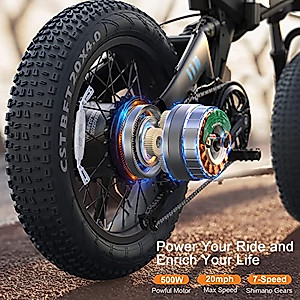 Wooken Electric Bike, 20'' Fat Tire Electric Bike for Adults, 500W Folding Electric Bike with 48V 10Ah Battery, Shimano 7 Speed Gears, Dual Shock Absorber, 20MPH Ebike for Commute Mountain Beach Snow