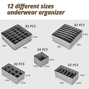 NAC HOOH Drawer Underwear Organizer Divider Fabric Foldable Dresser Storage Basket Organizers and Storage Bins for Storing Bra Ties Lingerie Undies Sock Panty Belts Clothes Scarves Grey (NC05-12-G)