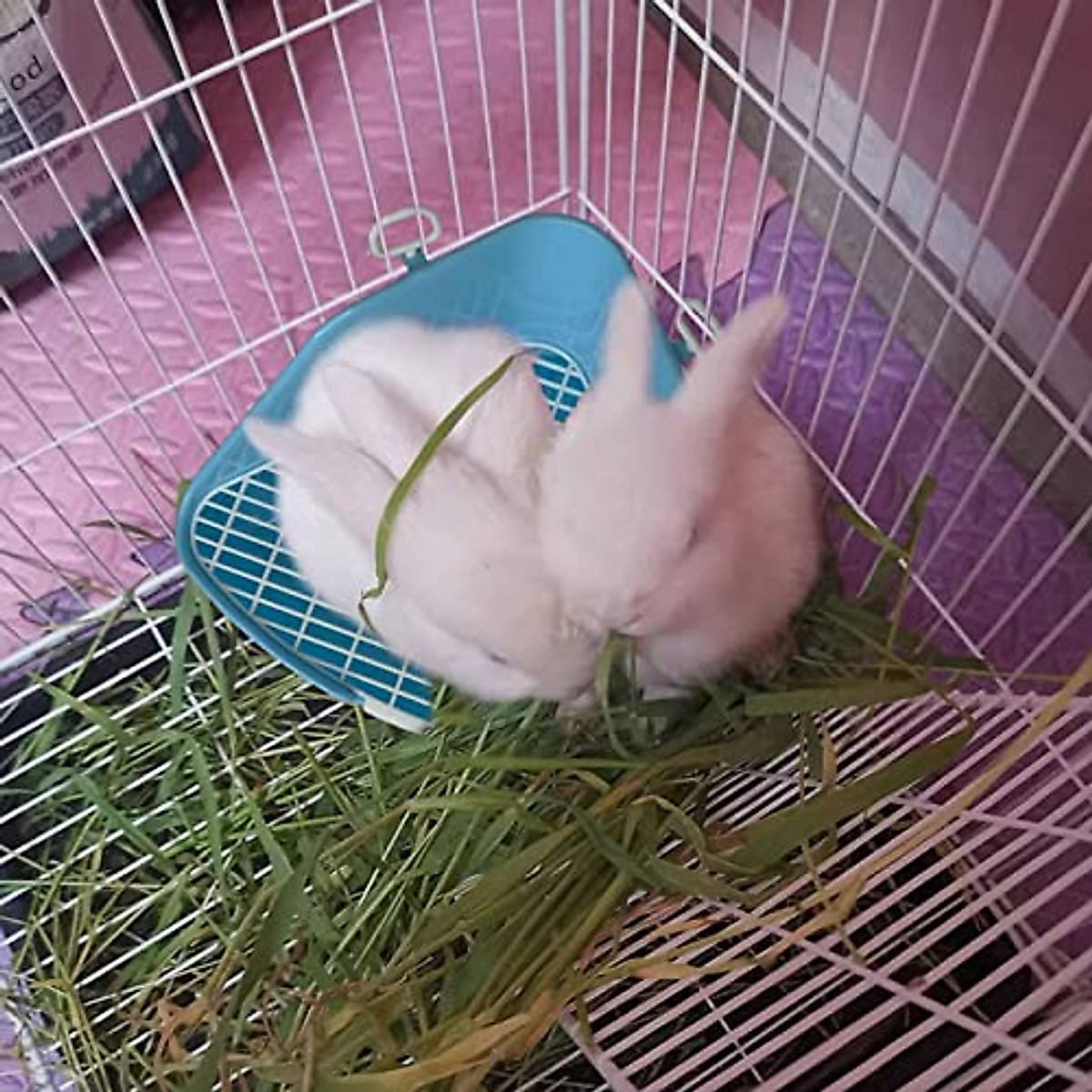 kathson Rabbit Litter Box Bunny Toilet Triangle Potty Trainer Corner Large Bedding Box Pet Pan for Rabbits Chinchillas Ferrets Guinea Pigs Galesaurs(Blue)