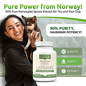 Lignans For Life HMR Lignans for Dogs, 40mg - 90 Capsules, Dog Vitamin for Healthy Pet | Natural Dog Vitamin | Dog Wellness Supplement | Pet Vitamin | Dog Nutritional Supplement - 90 Capsules