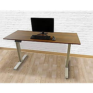 TechOrbits Electric Standing Desk Frame 60 x 24 Inch Tabletop - Motorized Workstation Two Leg Stand Up Desk with Memory Settings and Telescopic Sit Stand Height Adjustment (Grey Frame/Wood Top)