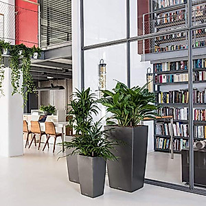 Lechuza Cubico Premium 30 - All-In-One, Scarlet