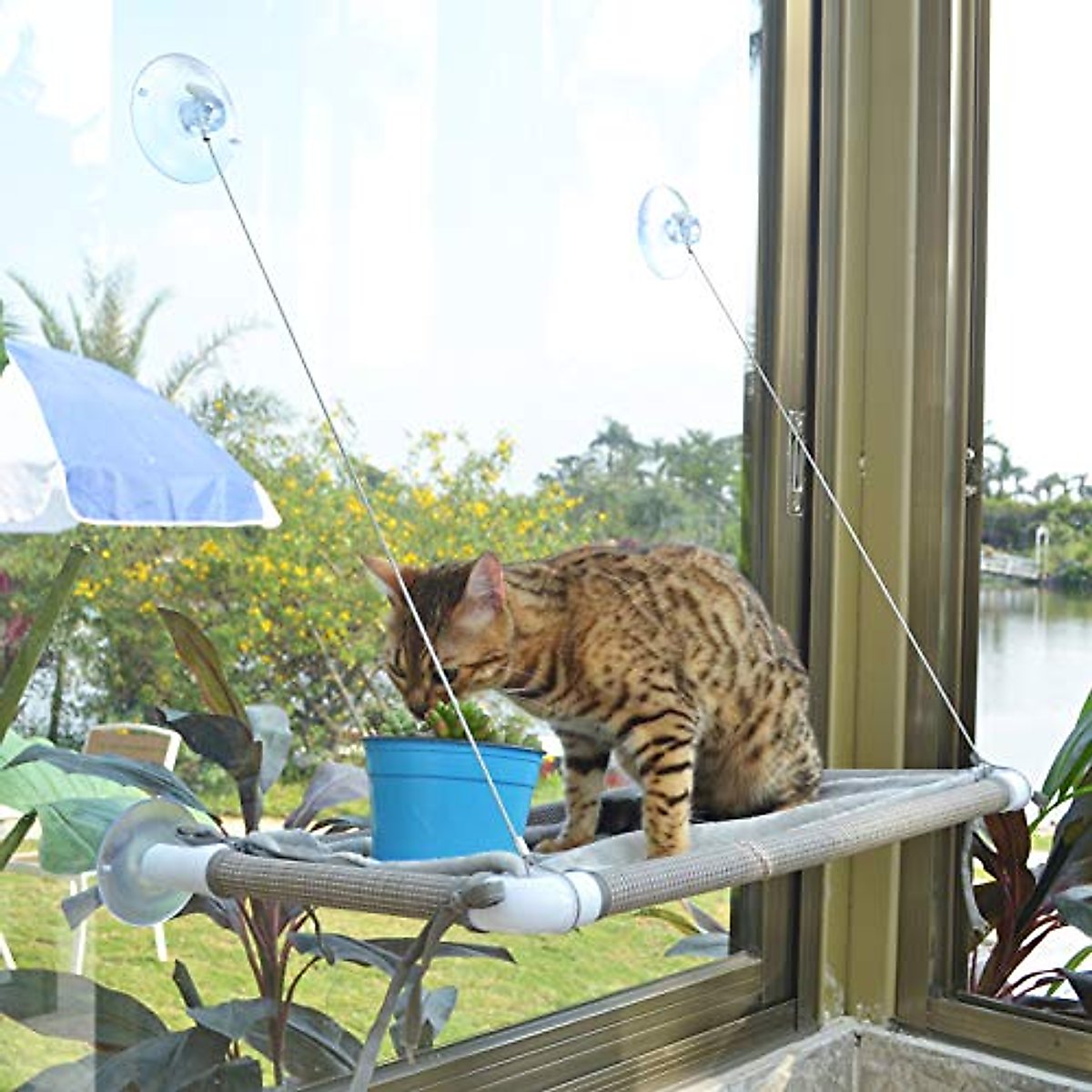Pupagree Cat Hammock for Window, Cat Window Perch with Sturdy & Space-Saving Design 丨Waterproof Cat Perch for Your Feline's Comfort and Enjoyment (Beige)