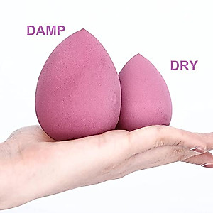 Makeup Sponge 3pcs Makeup Sponges for Foundation Blending Sponges for Makeup Sponge Beauty Blender Sponge Pink Latex Free and Vegan Make up Sponges for Face with a Storage Case (3, Pink)