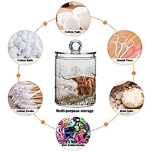 Scottish Highland Cow Qtip Dispenser Apothecary Jars Qtips Holder Bathroom Storage Canister Plastic Jar 10 Oz for Cotton Ball Swab Round Pads Floss 2pcs