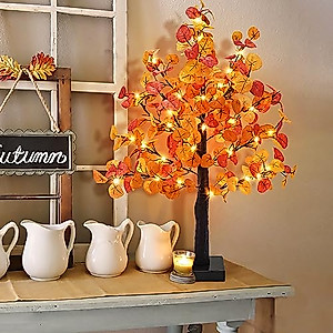 Agusbagli 24 Inch Artificial Fall Lighted Eucalyptus Tree Decor, 55 LED Battery Operated Fall Light Up Tabletop Tree with Timer for Indoor Home Wedding Harvest Fall Autumn Thanksgiving Decorations