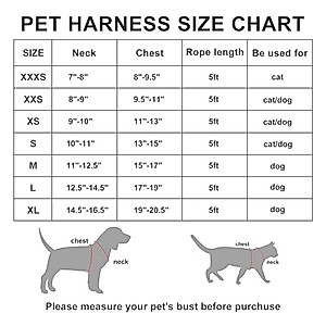 AMTOR Dog Harness with Leash Set,No Pull Adjustable Reflective Step-in Puppy Harness with Padded Vest for Extra-Small/Small Medium Large Dogs and Cats(Green,S)