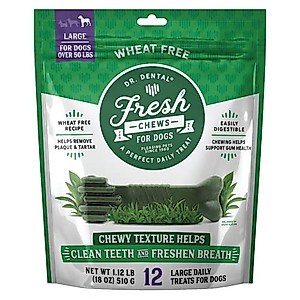 Dr. Dental Large Fresh Chews Dental Dog Treats Clear, Large-18 OZ