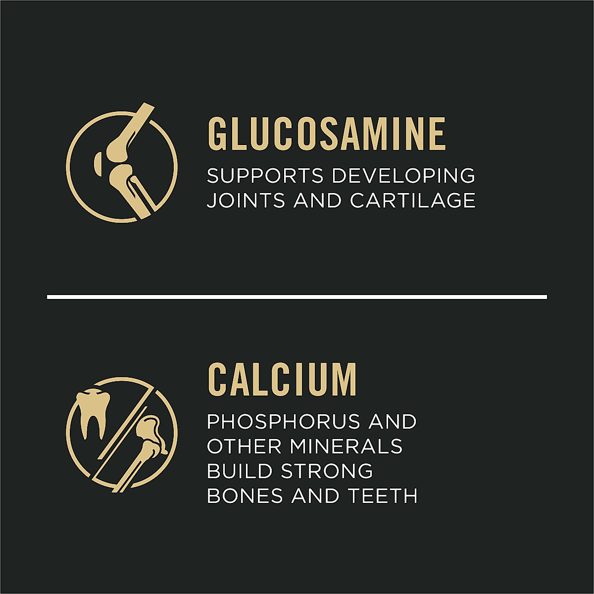 Purina Pro Plan High Protein Large Breed Puppy Food With Probiotics, Beef and Rice Formula - 18 lb. Bag