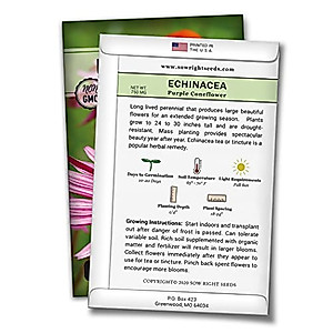 Sow Right Seeds - Medicinal Herb Seed Collection for Planting - Roman Chamomile, Echinacea, Lavender, White Sage, Marjoram & Hyssop - Non-GMO Heirloom Seed - Perfect for a Herb Garden - Gardening Gift