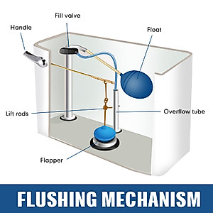 Lasnten 12 Pieces Toilet Handle Lever Flush Replacement, Brass Universal Flush Lever Finish Handle for Most Toilets (Front Mount)