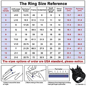 FaithHeart Punk Dragon Ring for Women Hip-hop Design Nordic Mythology Jewelry for Male