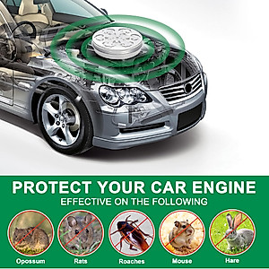 4 Pack Peppermint Oil Rodent Repellent - Powerful Mouse Repellent for Car Engines Indoor Outdoor, Under Hood Rat Repellent Keeping Rodents Out of Home Garages, Mice Deterrent