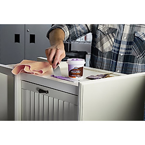 Elmer's Carpenter's Color Change Wood Filler, 8 oz., White (E916)